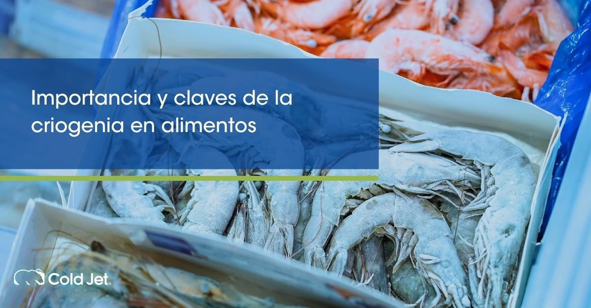 Importancia y claves de la criogenia en alimentos